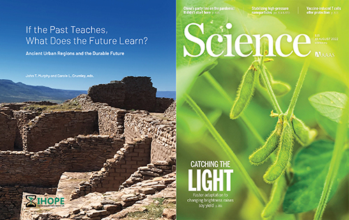 Review in Science: Transforming Urban Environments