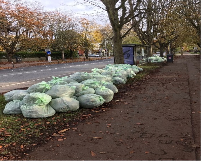 Dublin City Council leaves collection arrangements for Griffith Avenue