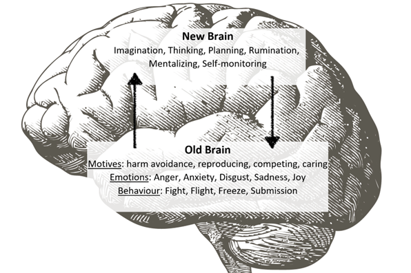 Irish Centre for Compassion Focused Therapy