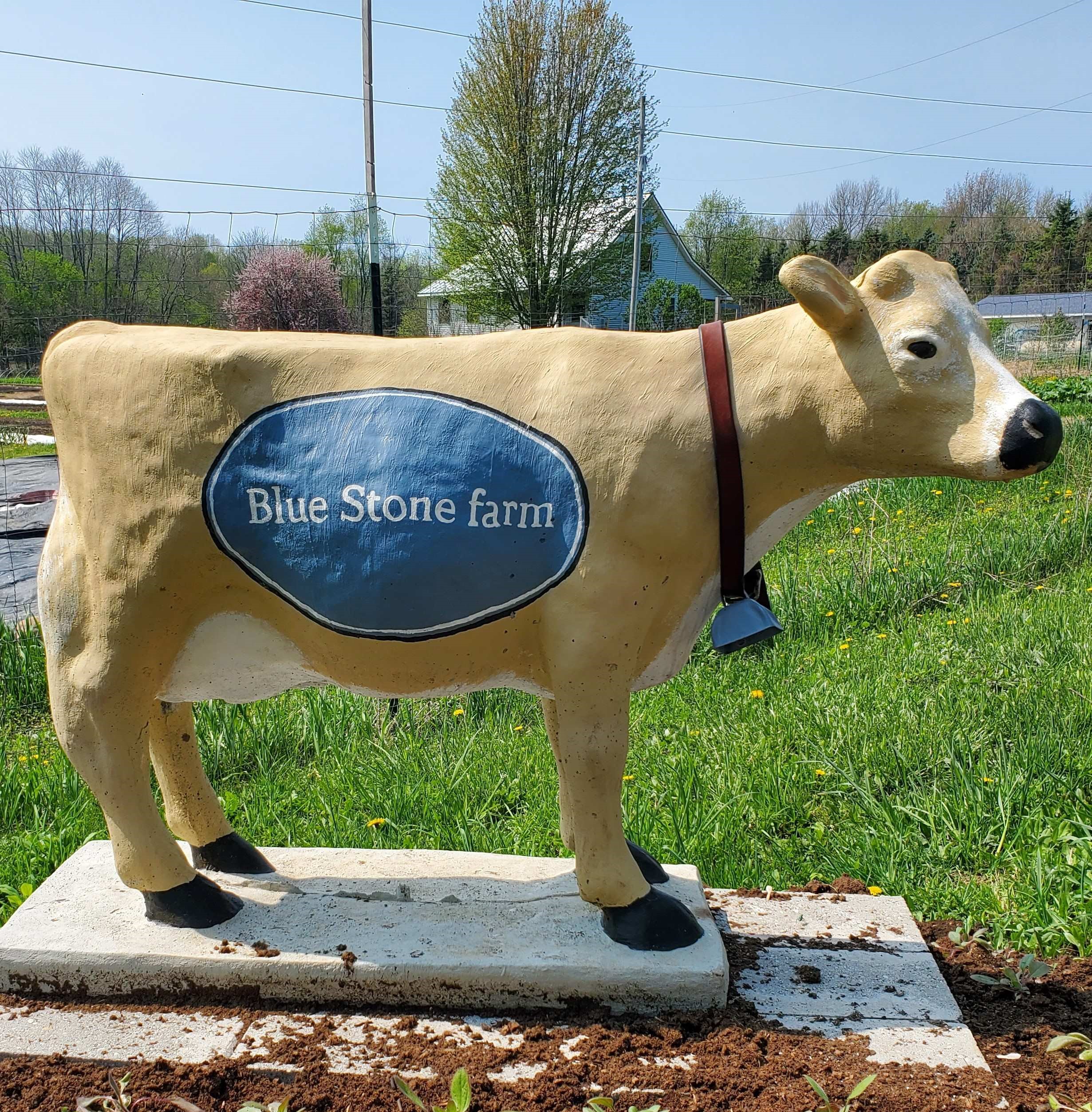 Blue Stone Farm