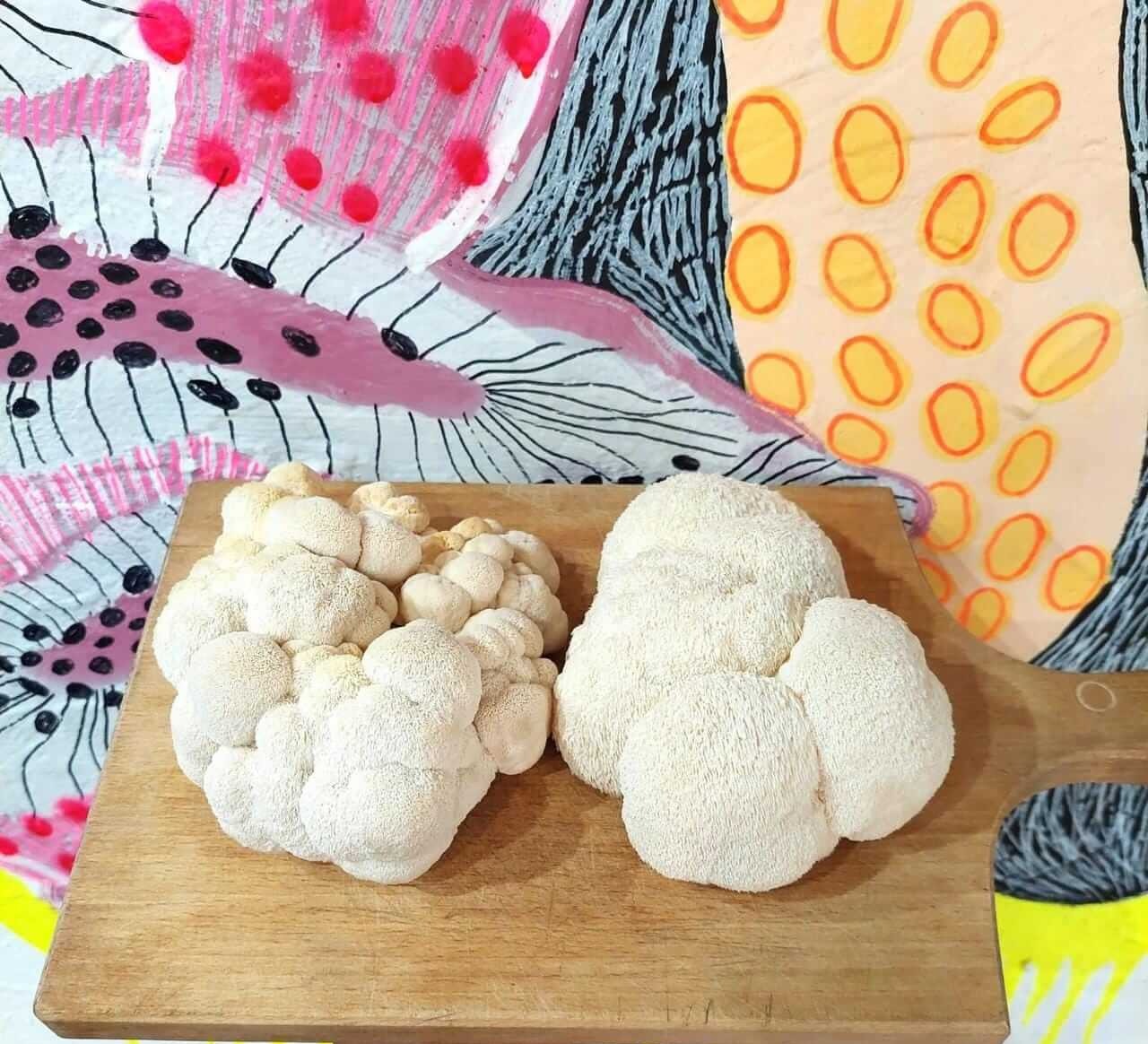 Gobarna.si & Gobnjak I Mali plac