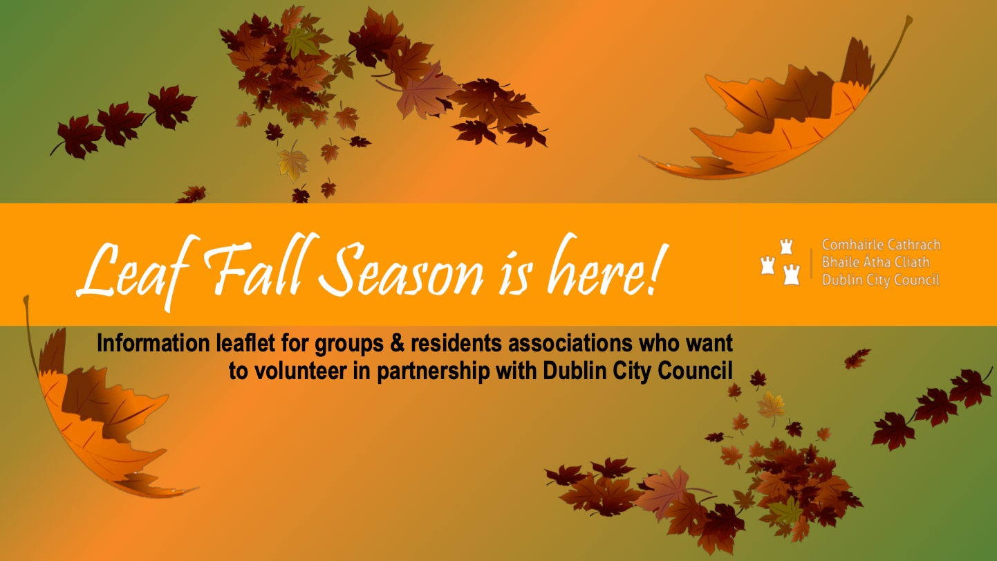 Dublin City Council Leaf Fall Information leaflet