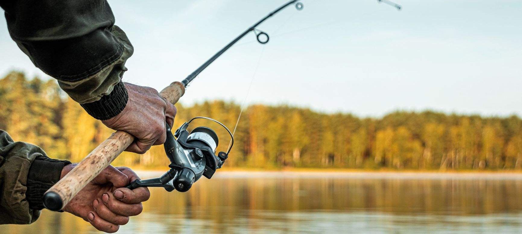 Home Page [deschelepostolbert.nl]