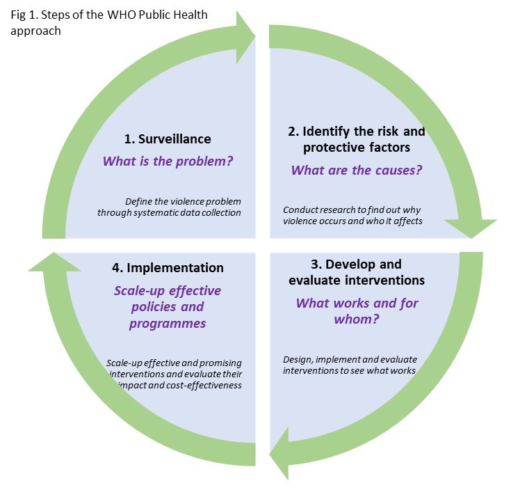 Taking a public health approach to reducing crime