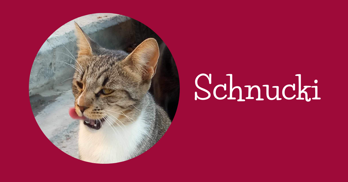 SCHNUCKI