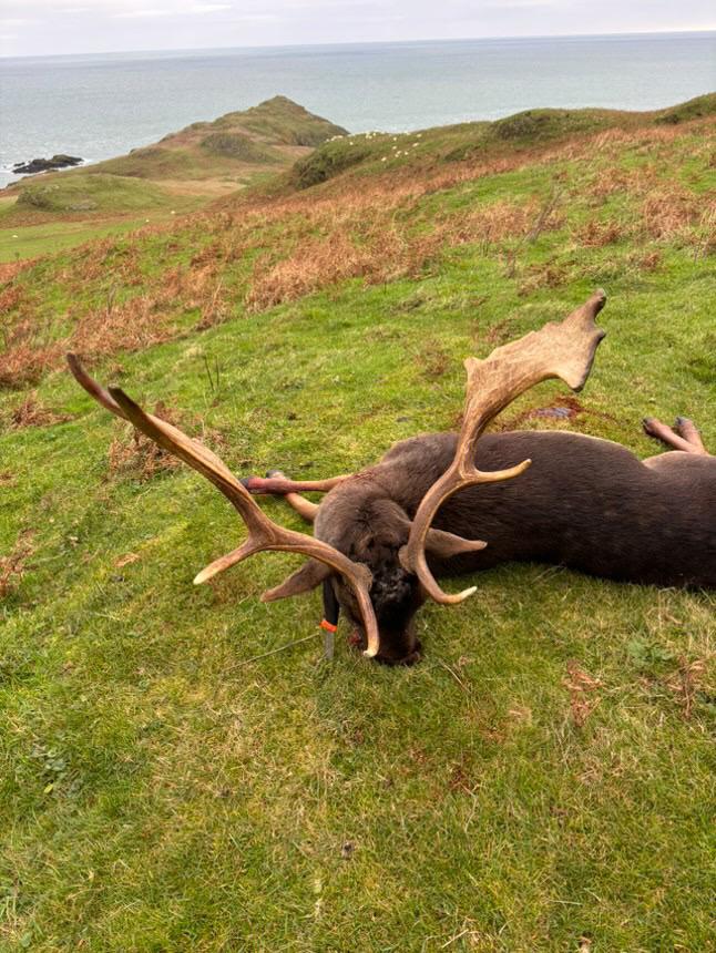 Ireland’s Premier Hunting Trips | Deer & Bird Hunting