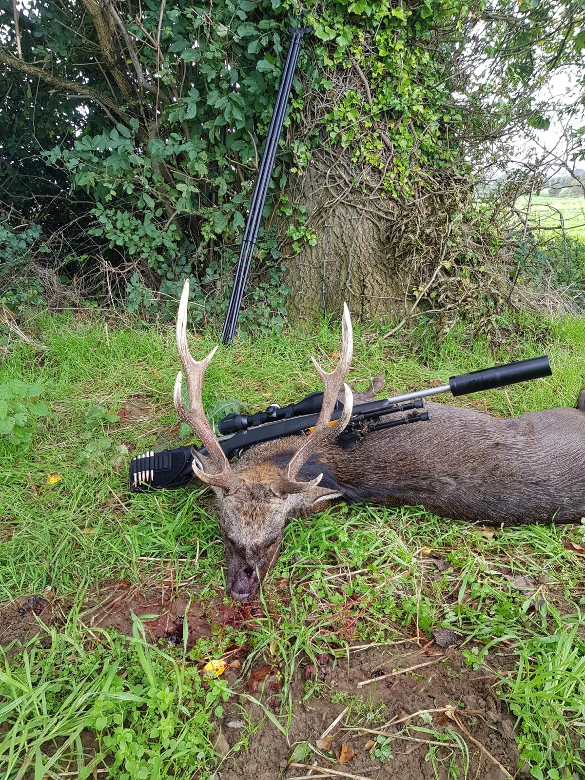 Ireland’s Premier Hunting Trips | Deer & Bird Hunting