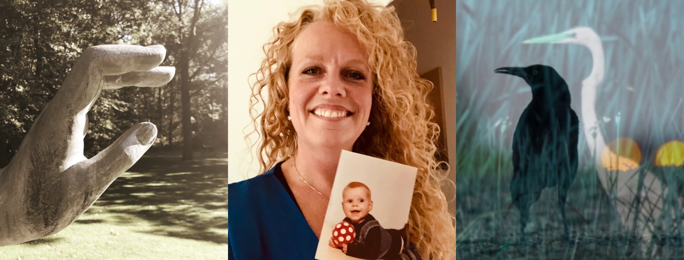 Deel 3: Het veld van de witte reiger.