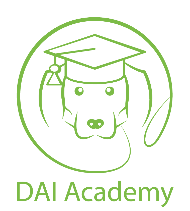 Wat is DAI?