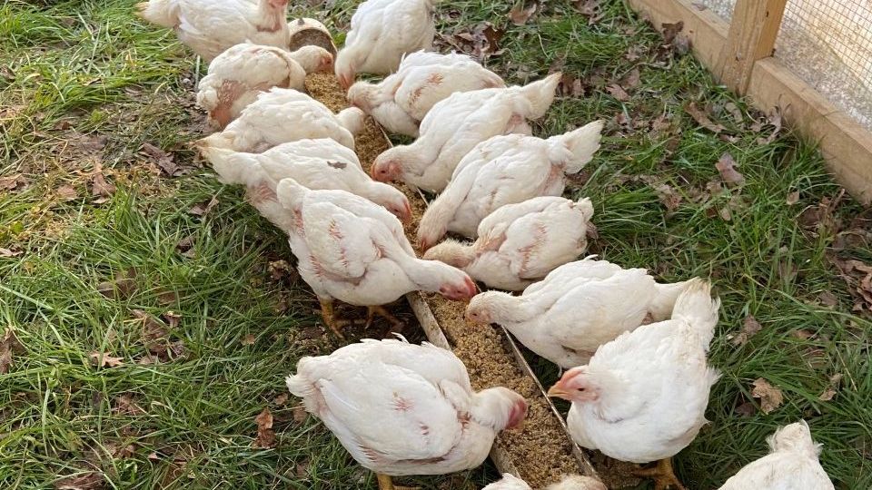 Hidden Haven Pastures