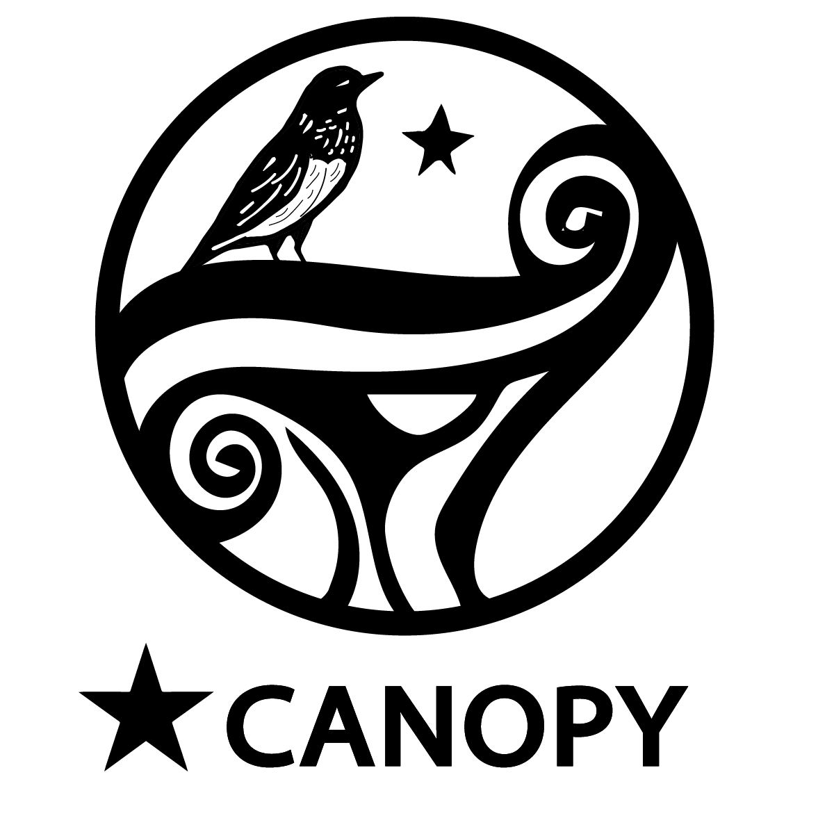 Star Canopy