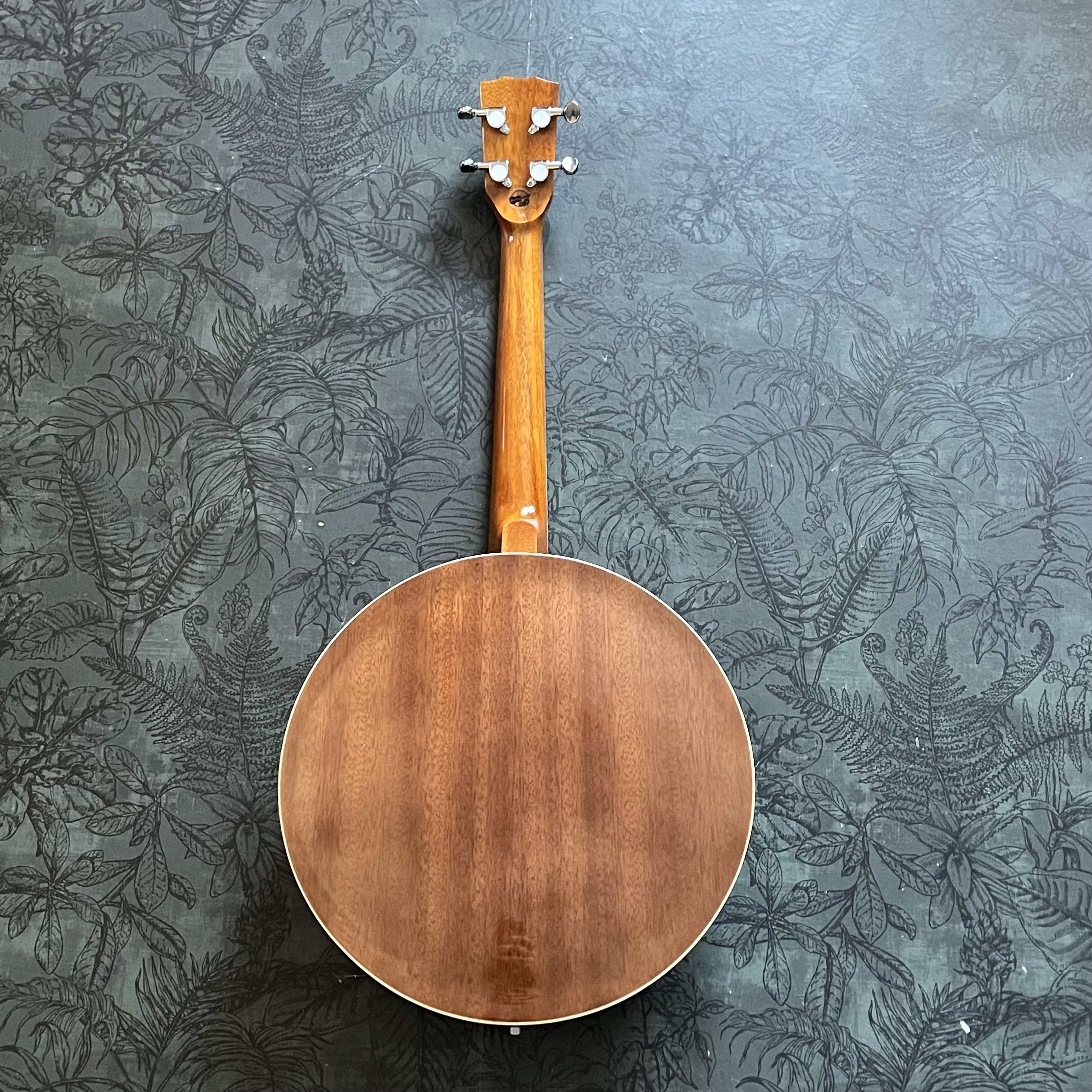 Steelstring dgbe banjolele