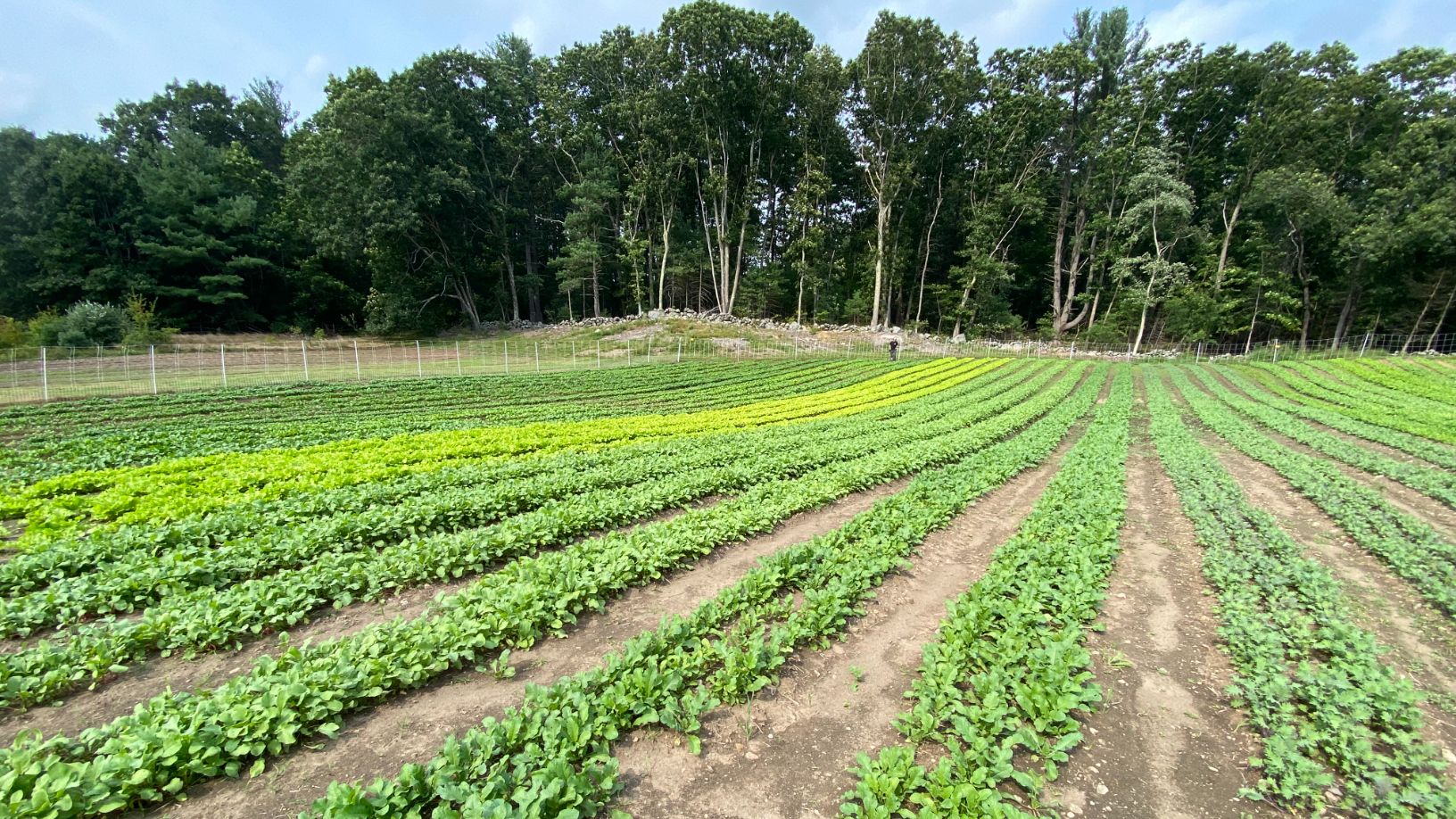 Home [northofboston.farm]