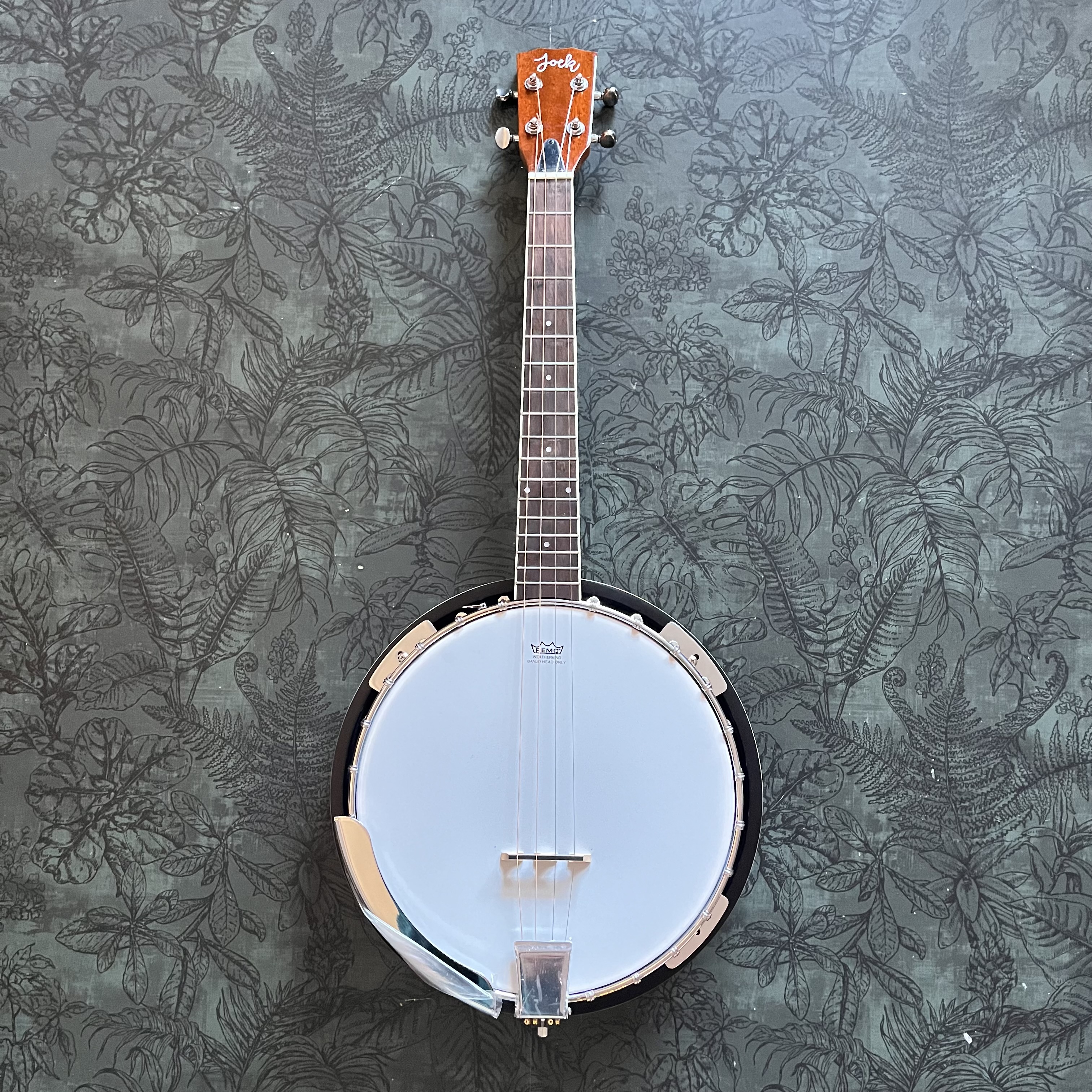 Steelstring dgbe banjolele