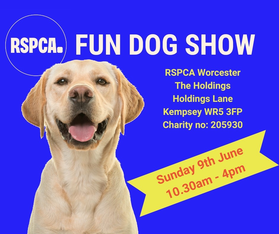 RSPCA Worcester | Events | Animal Welfare | Animal Cruelty | Animal Charity