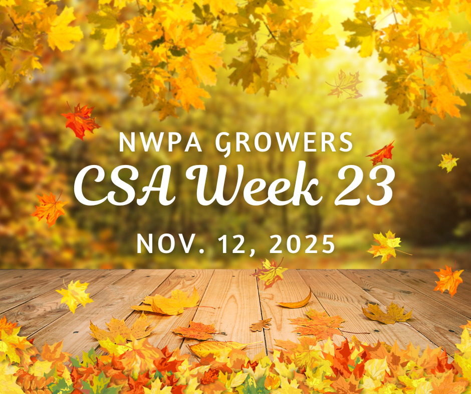 2025 CSA Week 23
