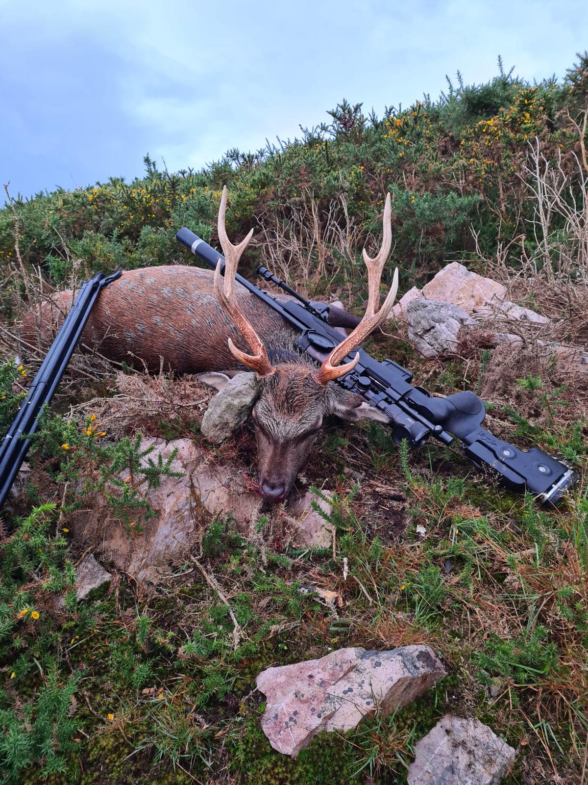Ireland’s Premier Hunting Trips | Deer & Bird Hunting