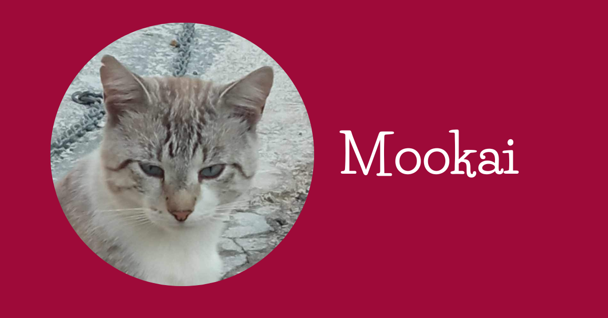 MOOKAI