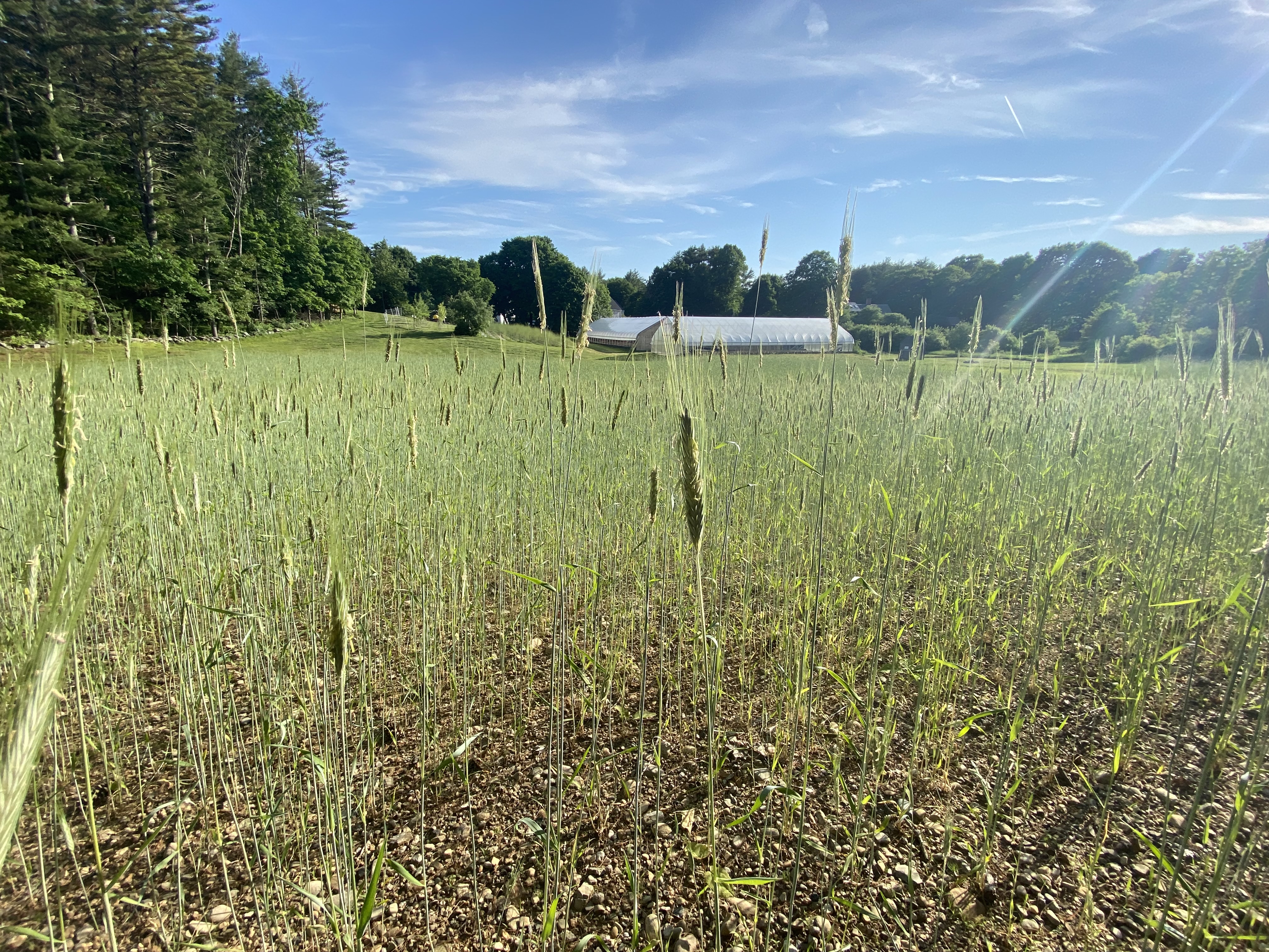 Home [northofboston.farm]