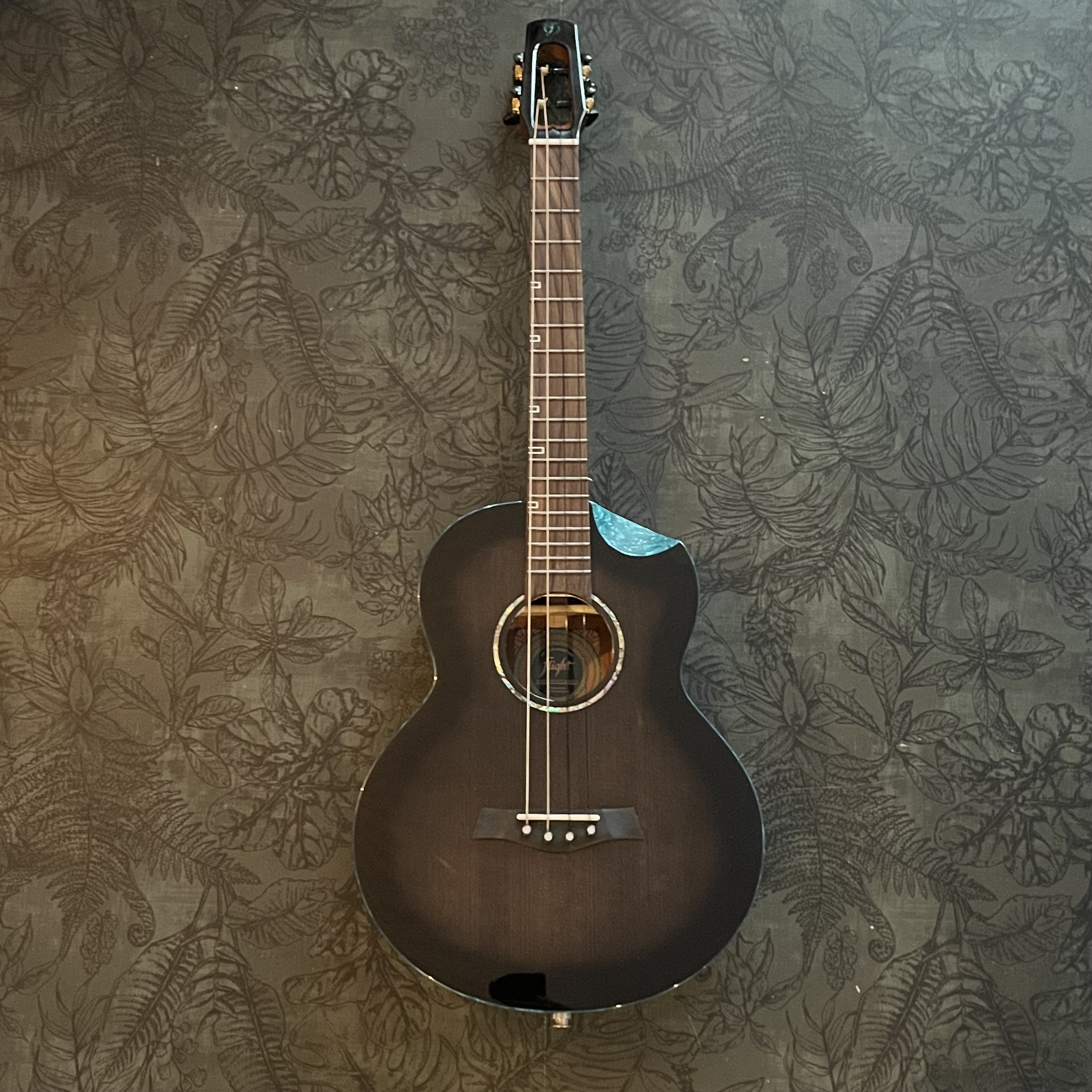 Flight Nighthawk Baritone EQ-A BK