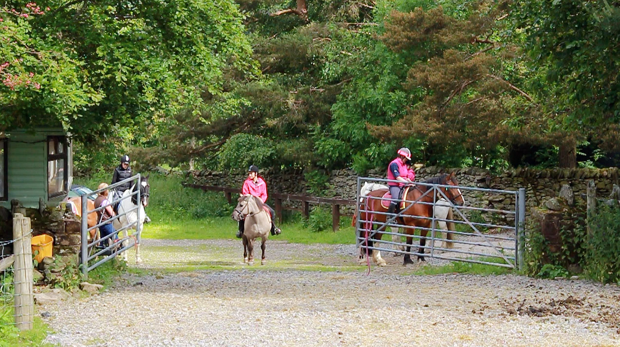 Pony Trekking Ullswater, Pony Trekking Lake District, Pony Trekking ...