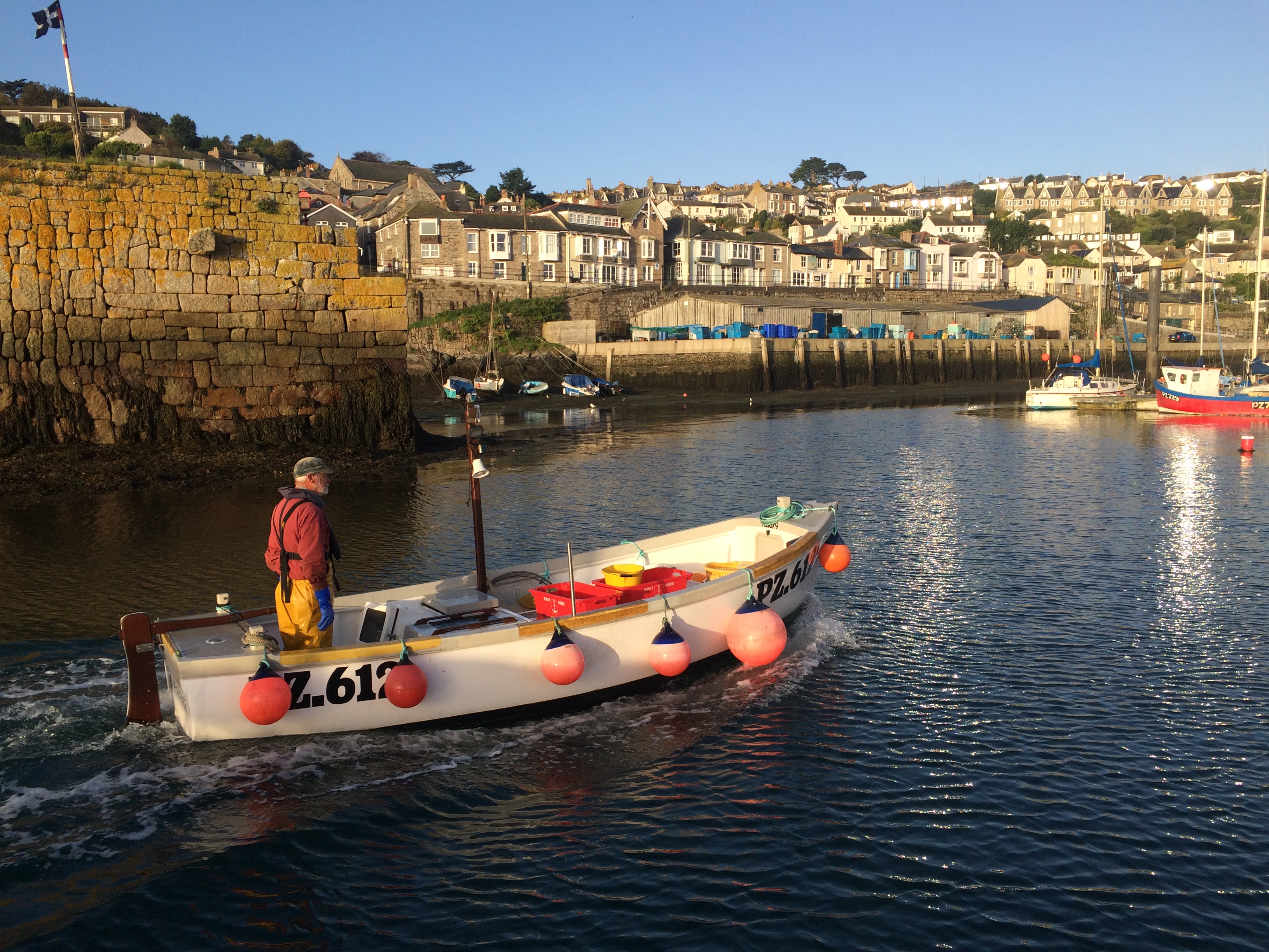 Fresh Cornish Fish - Online fish deliveries direct to your home