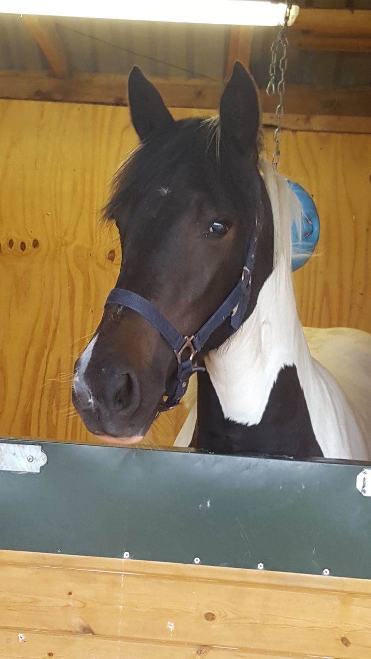 Home Page [www.cherryfieldsfarm.co.uk]