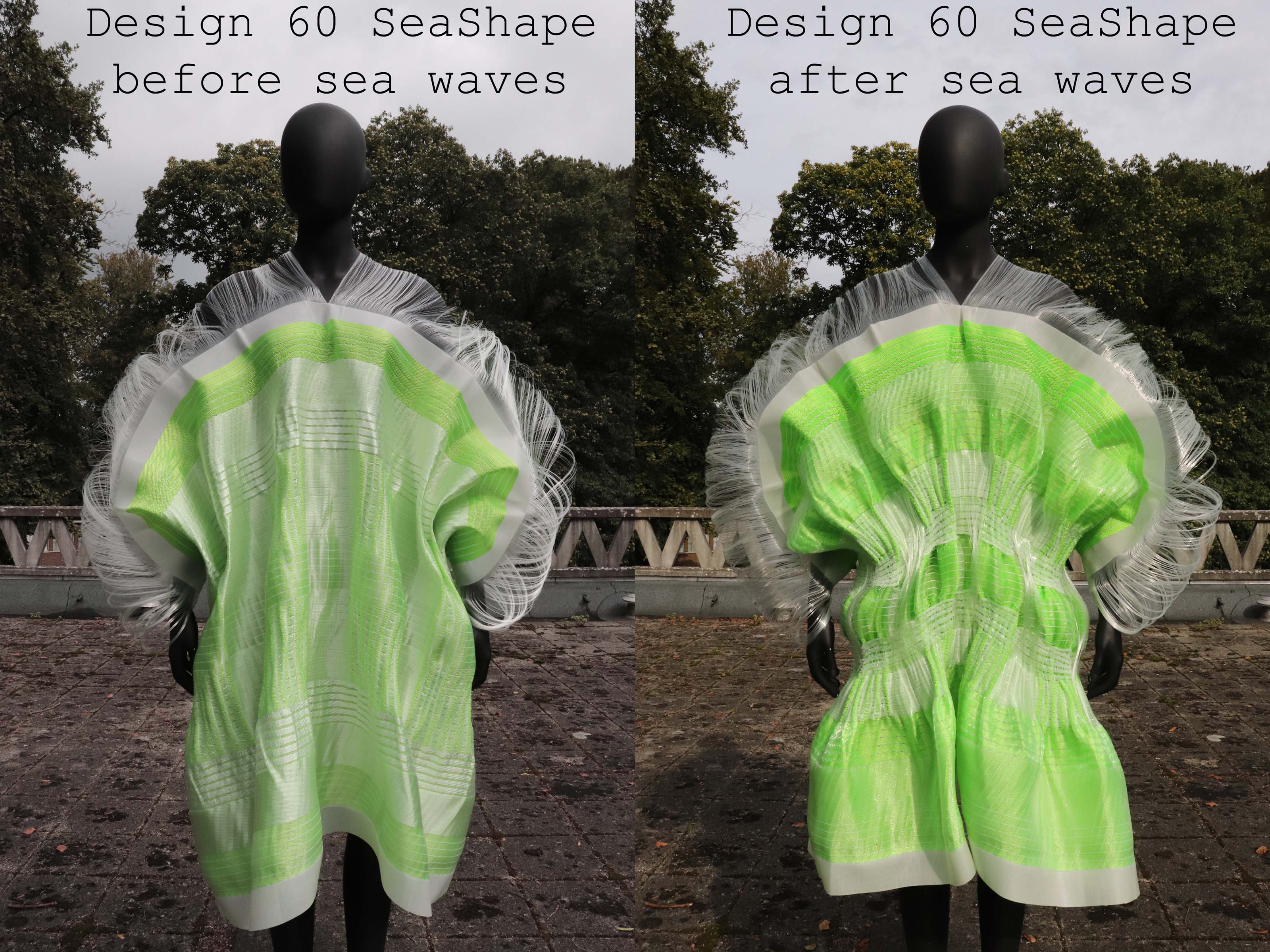 Studio Adaptive Skins