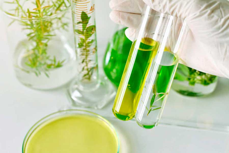 DROGUERÍA Y BOTICA SANTA CRUZ