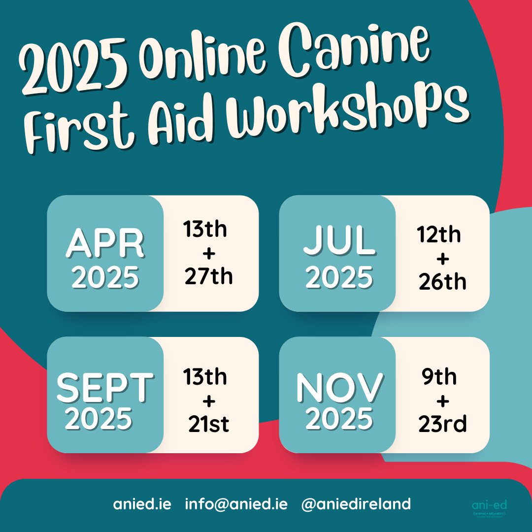 Canine First Aid
