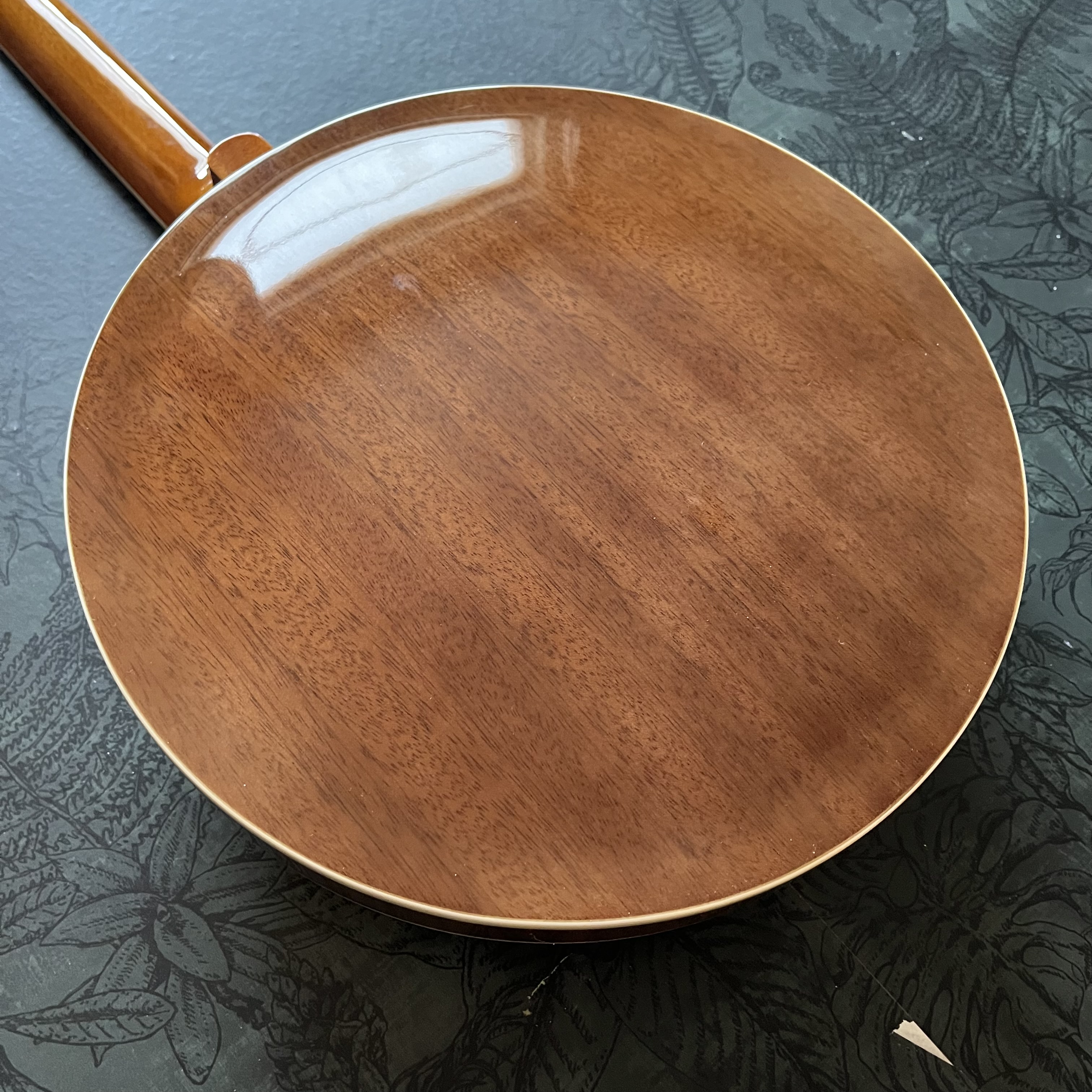 Steelstring dgbe banjolele