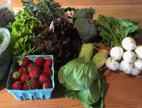 Home Page [threeriverscommunityfarm.com]