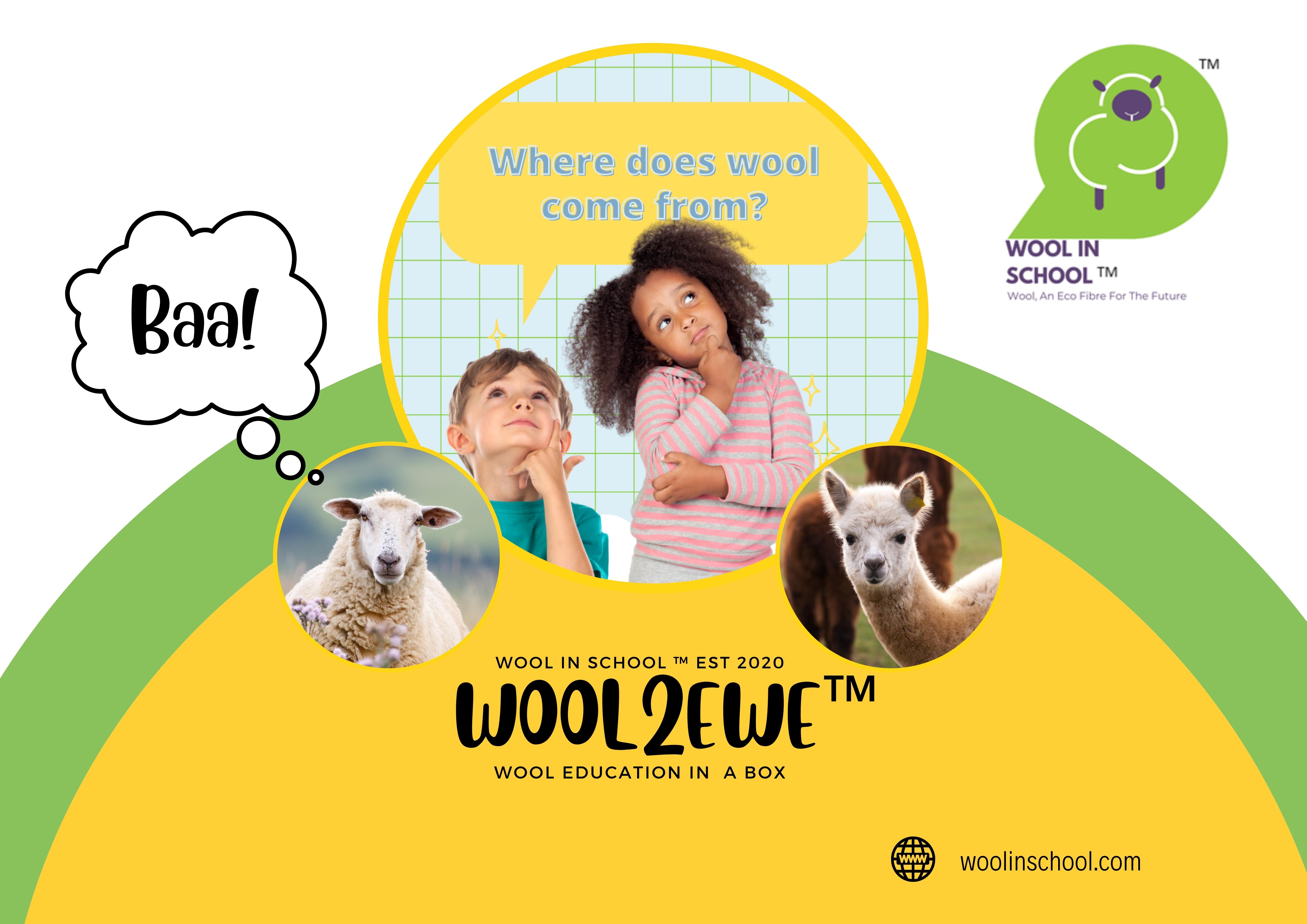 Home [www.woolinschool.com]