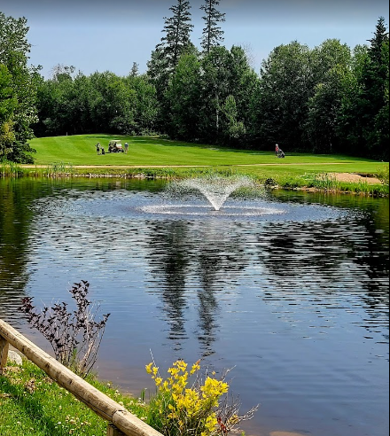 Home Page [www.discoverlakelife.ca]